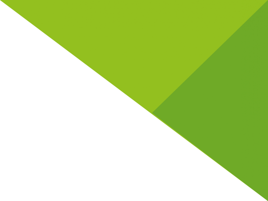 triangle-vert-pointe-a-gauche - VALET Maître d'Oeuvre